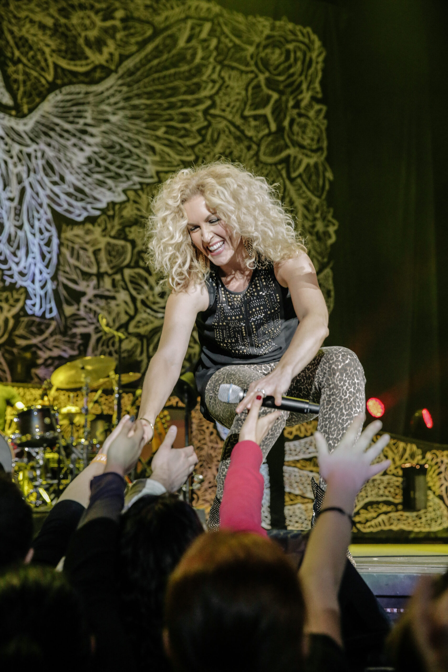 Photo Gallery | Roadworthy Creative